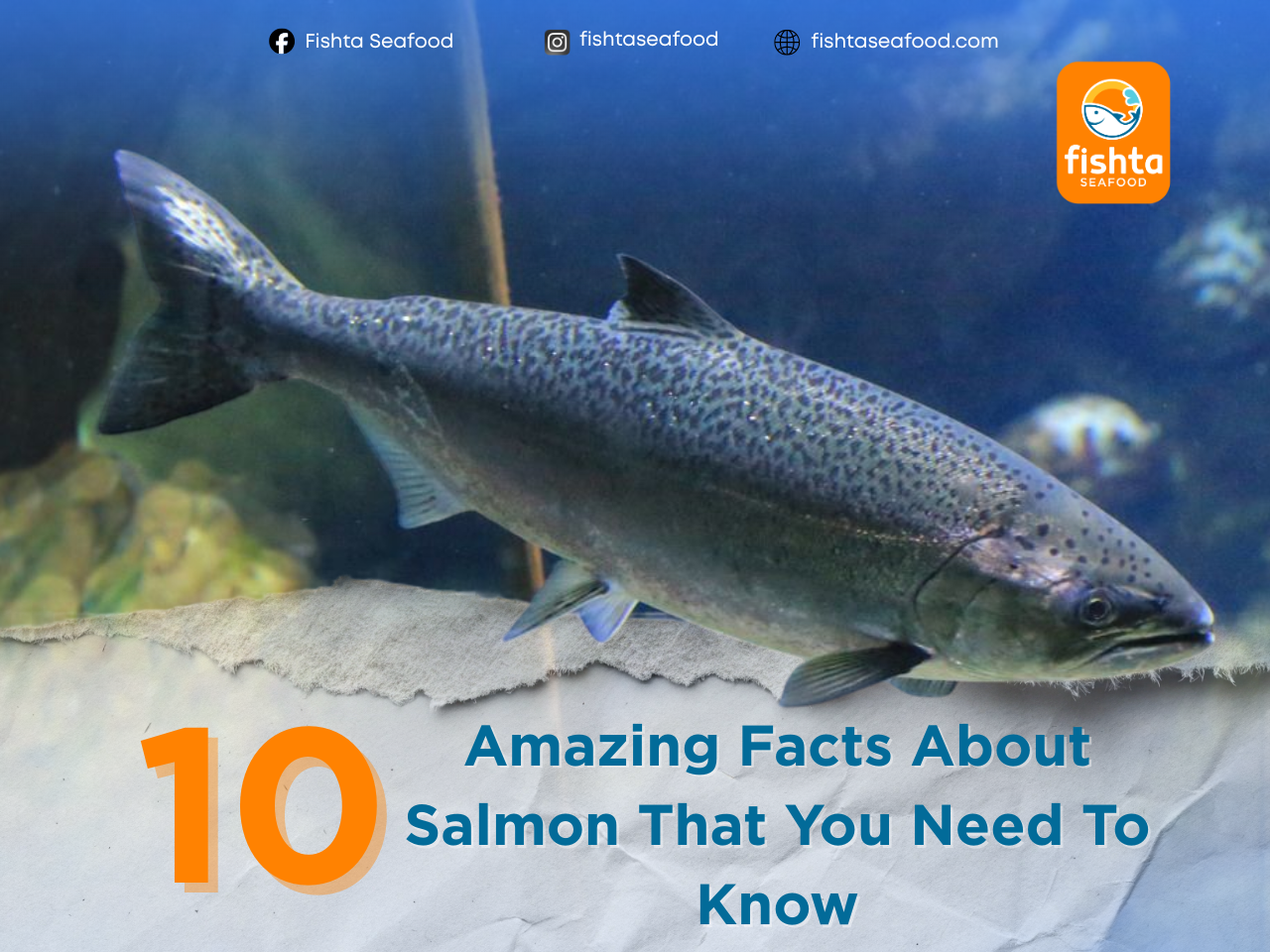 10 Amazing Facts About Salmon That You Need To Know