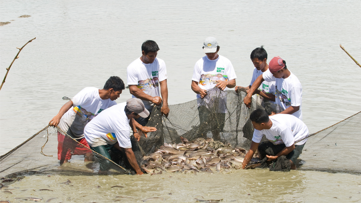 The Hype About Sustainable Fishing