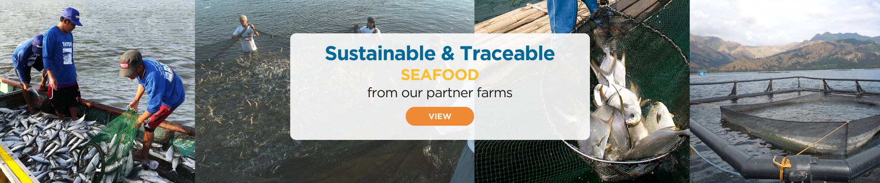 Online Seafood Delivery - Fresh Frozen & Dried Seafood by Fishta