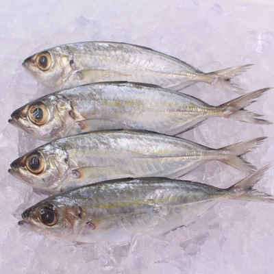 Online Seafood Delivery - Fresh Frozen & Dried Seafood by Fishta