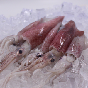 Online Seafood Delivery - Fresh Frozen & Dried Seafood by Fishta