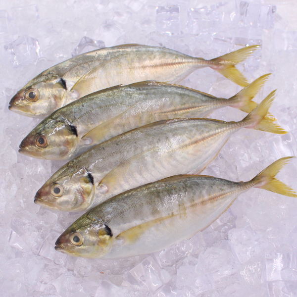 Online Seafood Delivery - Fresh Frozen & Dried Seafood by Fishta