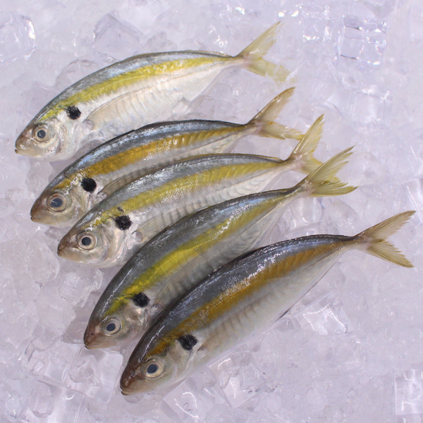 Online Seafood Delivery - Fresh Frozen & Dried Seafood by Fishta