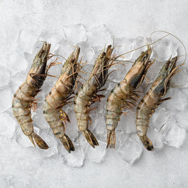 Online Seafood Delivery - Fresh Frozen & Dried Seafood by Fishta