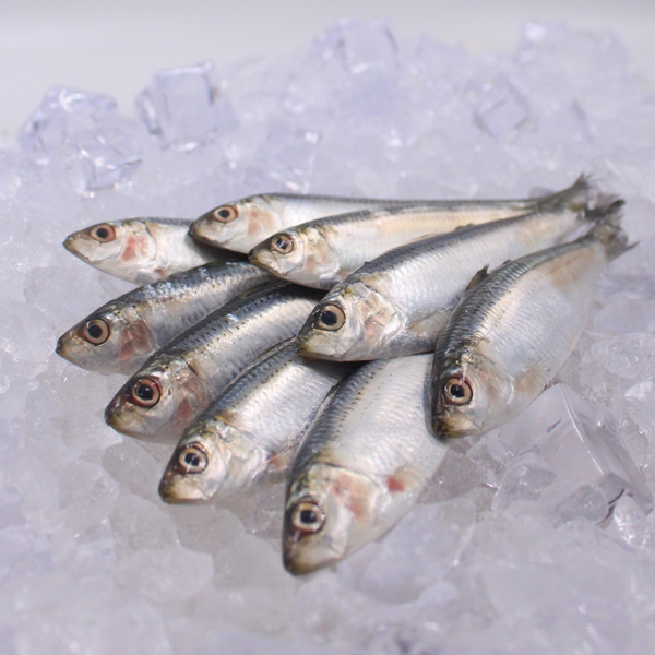Online Seafood Delivery - Fresh Frozen & Dried Seafood by Fishta