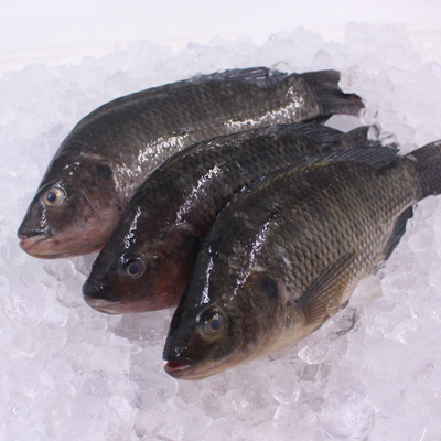 Online Seafood Delivery - Fresh Frozen & Dried Seafood by Fishta