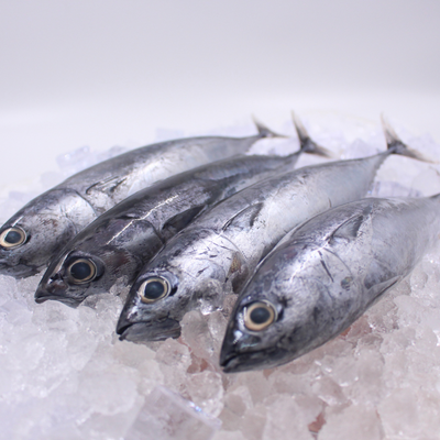 Online Seafood Delivery - Fresh Frozen & Dried Seafood by Fishta