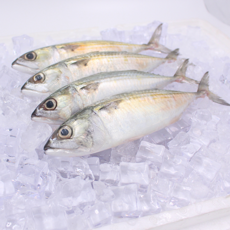 Alumahan Whole (Cleaned) 450-500g - Buy Alumahan Fish Online