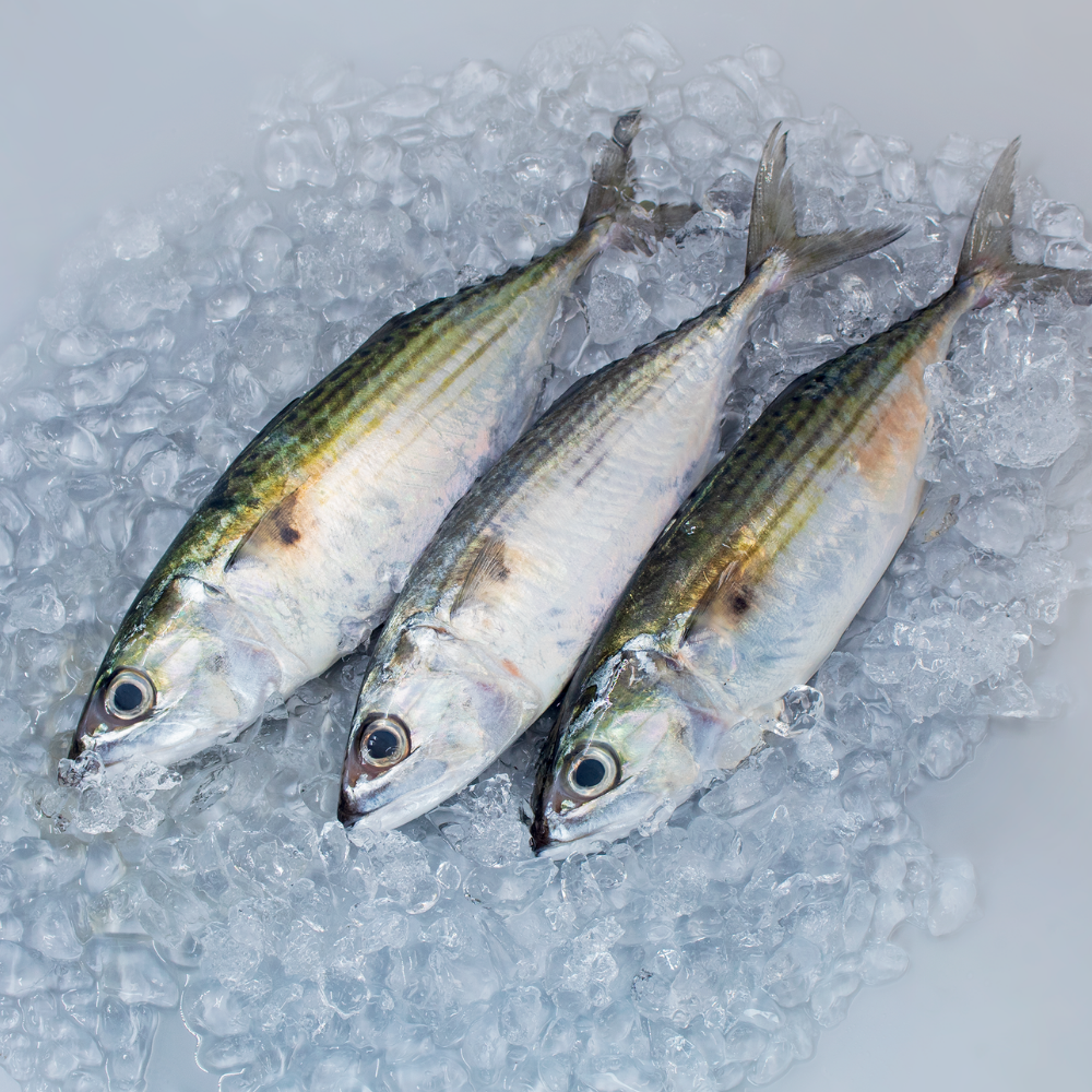 Galunggong 1kg - Buy Galunggong Online